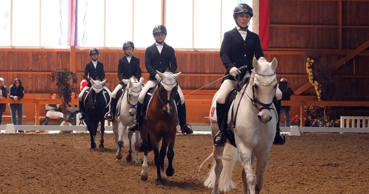Who Invented Equestrian Dressage? – Equeene Equestrian