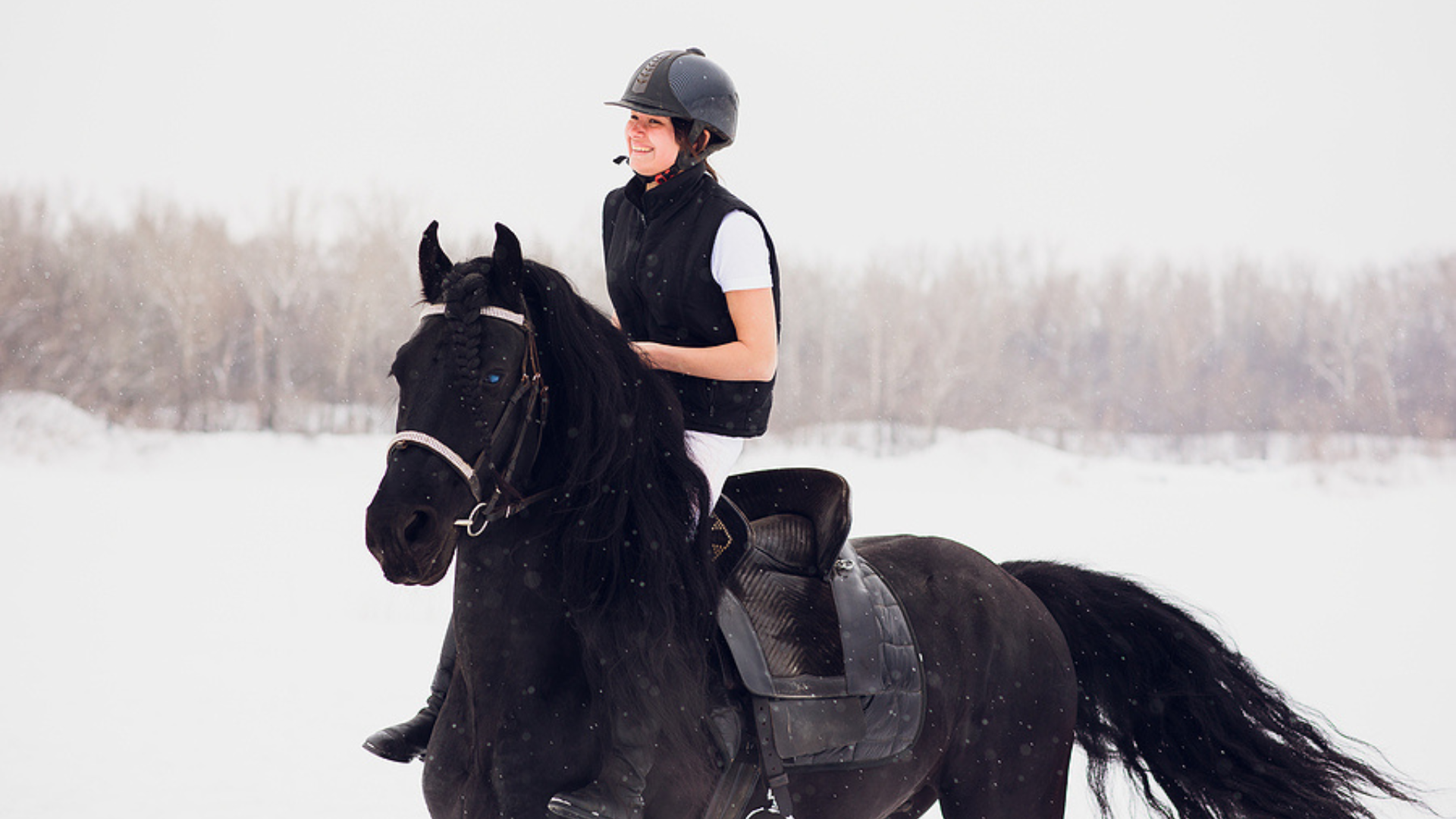What Temperature Is Too Cold To Ride Horses In The UK? – Equeene Equestrian